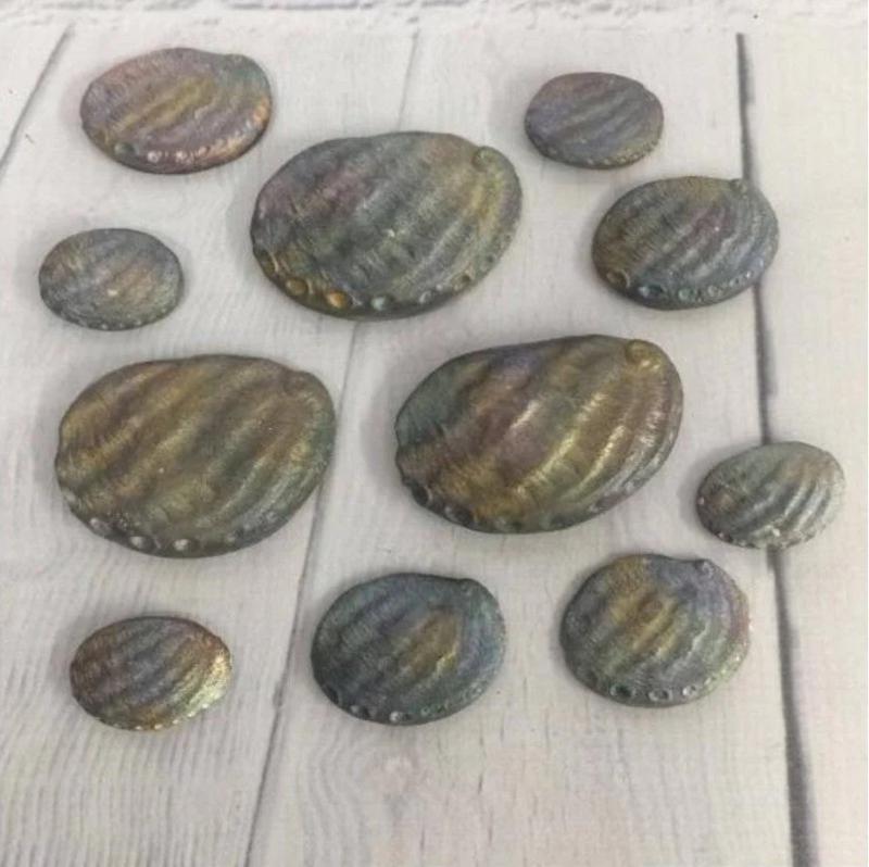 Edible seashells - Kiwicakes - Cake Decorating Supplies Whangarei