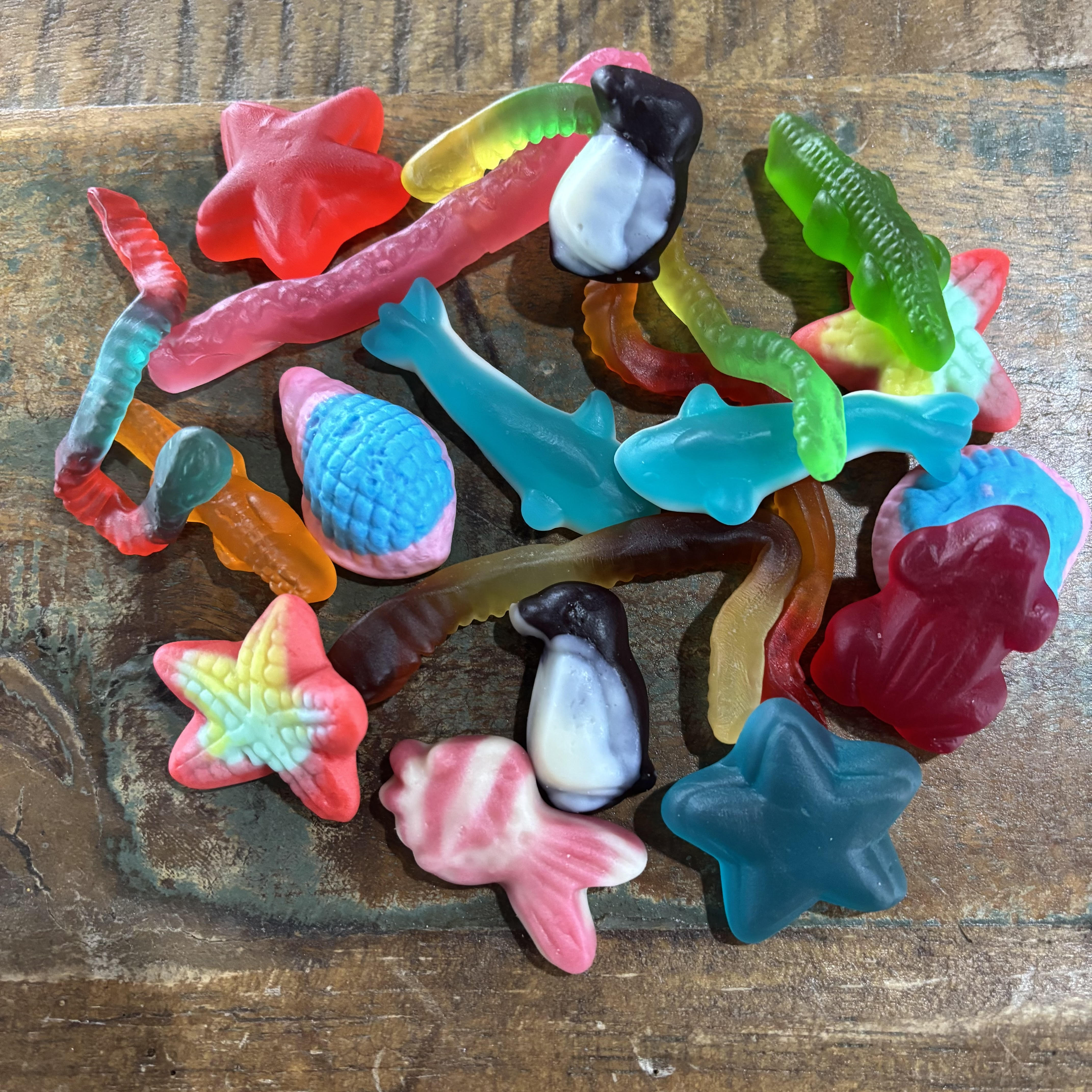 Sea Creatures Ocean friends Gummy Candy lollies - Kiwicakes