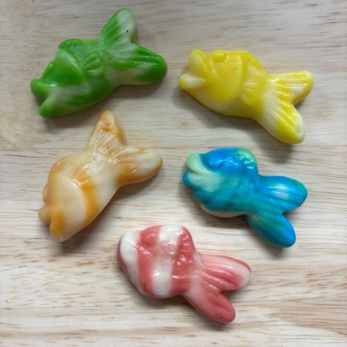 Swirly Fish Gummy Candy lollies - Kiwicakes