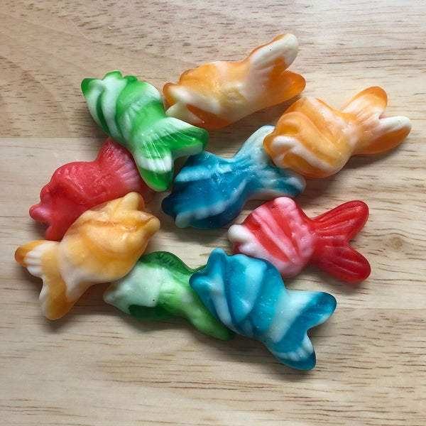 Swirly Fish Gummy Candy lollies - Kiwicakes